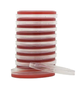 Prepared Media Blood Agar / MacConkey Biplate Red / Crimson Bi-Plate F ...