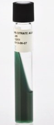 Prepared Media Simmons Citrate Agar Slant Tube Format – BlueSky Supplies